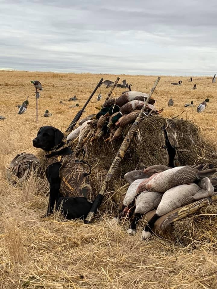 Rates & Packages - Canadian Premier Hunts