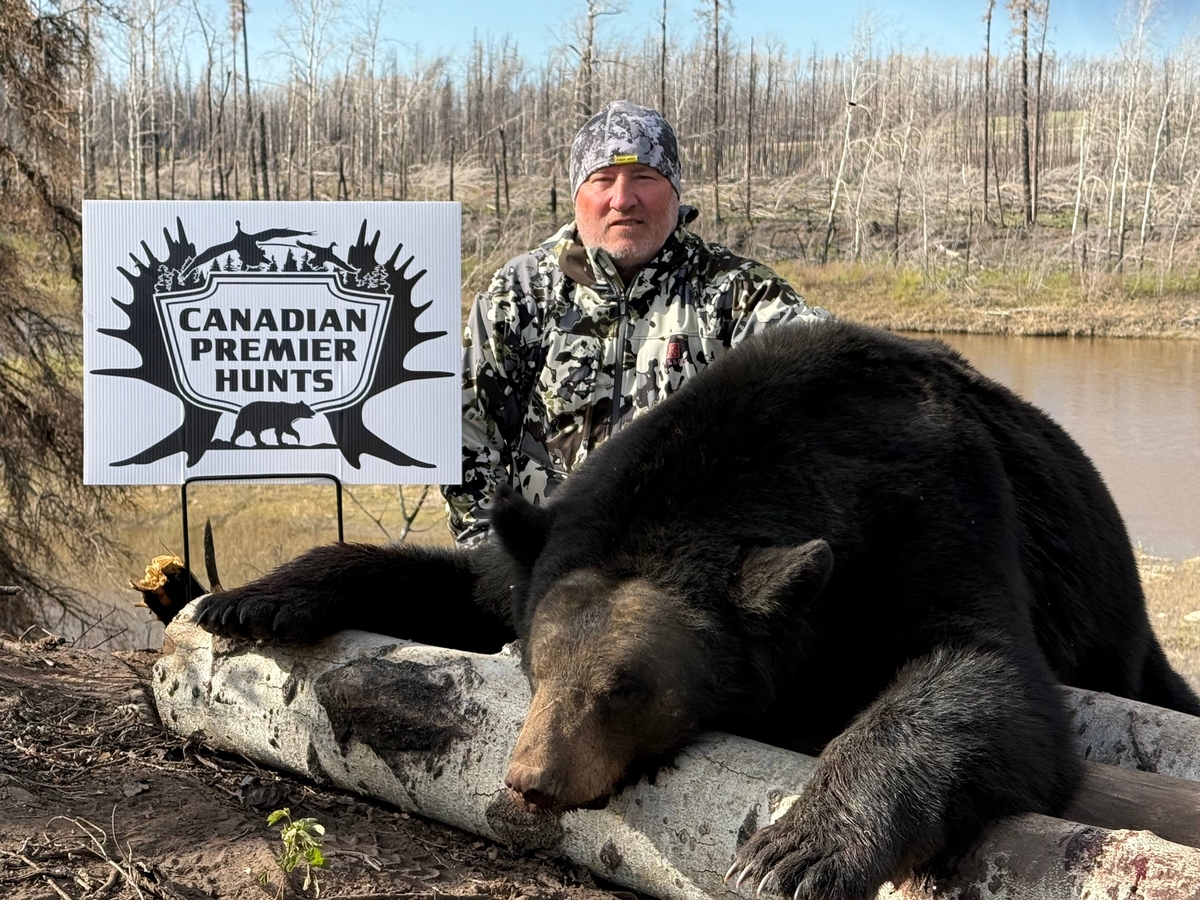 Guided Spring Black Bear Hunts in Alberta, Canada | Alberta Bear Hunting